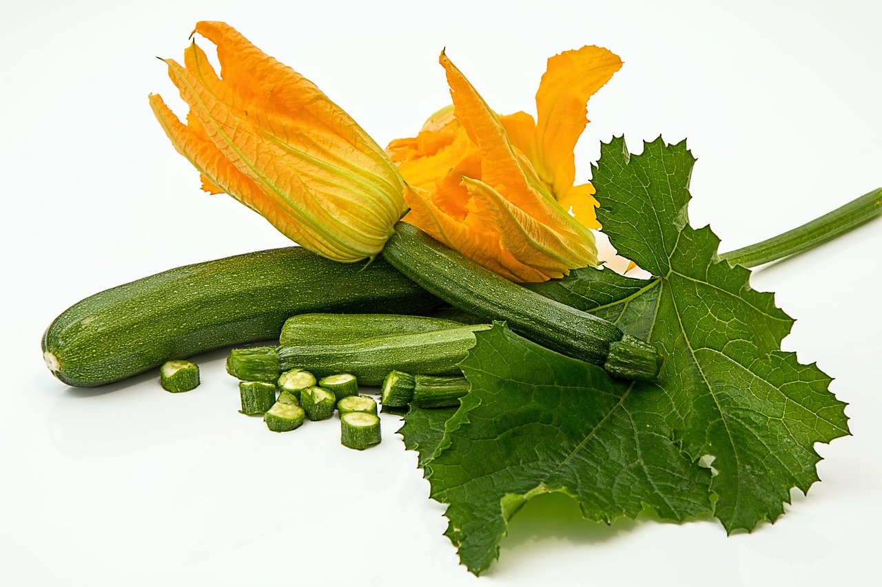 Zucchini Growing Stages How Does It Grow Rockets Garden